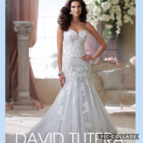 David Tutera | Dresses | David Tutera Wedding Gown Soft Baby Blue ...